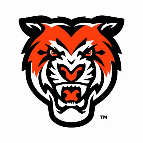 PREP ATHLETICS: Developing a program: Behind the success of Marshall ...